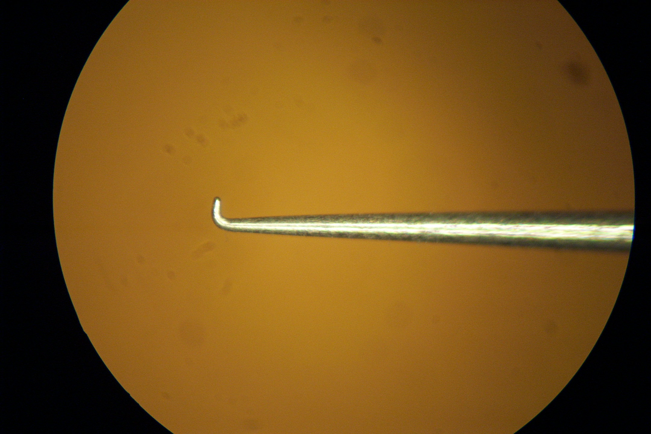 Pacific Instruments - Products