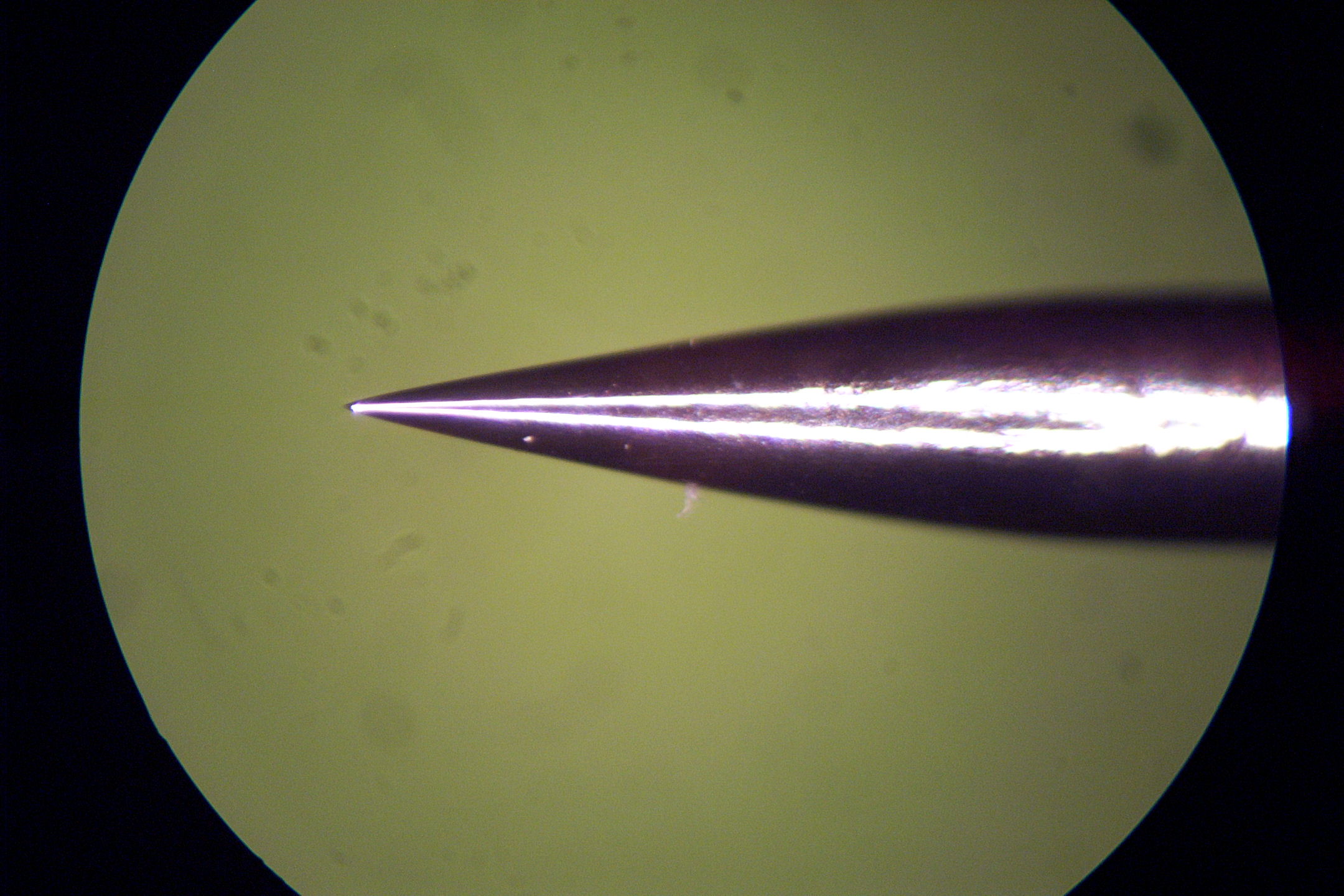 Pacific Instruments - Products